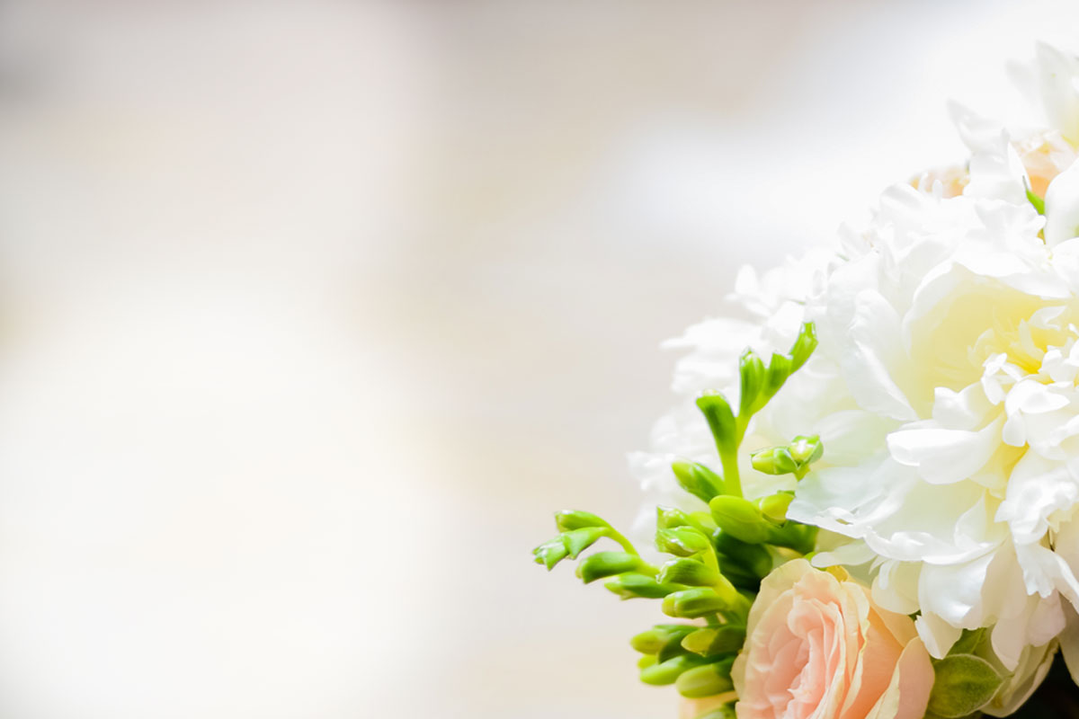 DANCE DNA - Dance Studio: Dance studio for everyone: adult and children ...